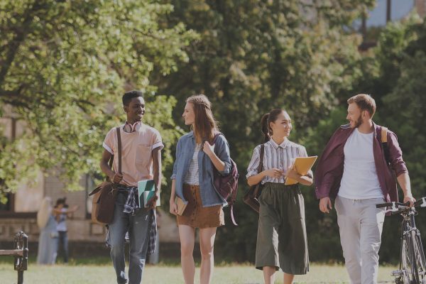 Master of Science – Management Engineering